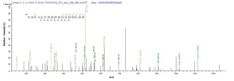 Recombinant Human Succinyl Coa Ligase Gdp Forming Subunit Beta Mitochondrial Suclg2