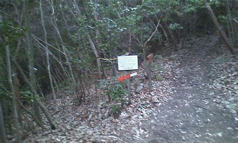 Kobanjp