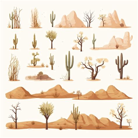 Desert Collection Dry Plants Set Vector Flat Isolated Illustration