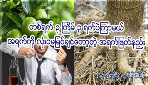 အရက်ဆိုတဲ့ အသံကို မကြားမမြင်ချင်အောင် ဖြစ်သွားတေဲ့ အစွမ်းထက်တဲ့ အရက်ဖြတ