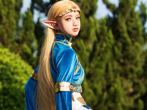 The Legend Of Zelda Breath Of The Wild Zelda Princess Cosplay Costume