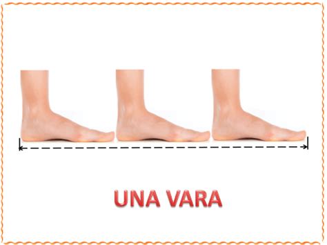 Midamos juntos utilizando varas cuartas y dedos Matemáticas Segundo
