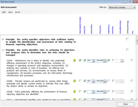 Entity Level Control Form