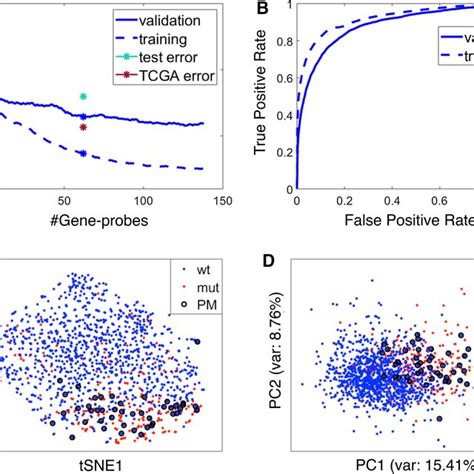 Accuracy And Error Rates For The Chosen Model For Er Her2‐ Tumors A Download Scientific