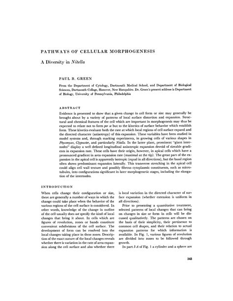 Pdf Pathways Of Cellular Morphogenesis A Diversity In Nitella