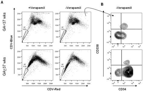 Side Population Sp Analysis Of Human Mononuclear Cells Obtained From
