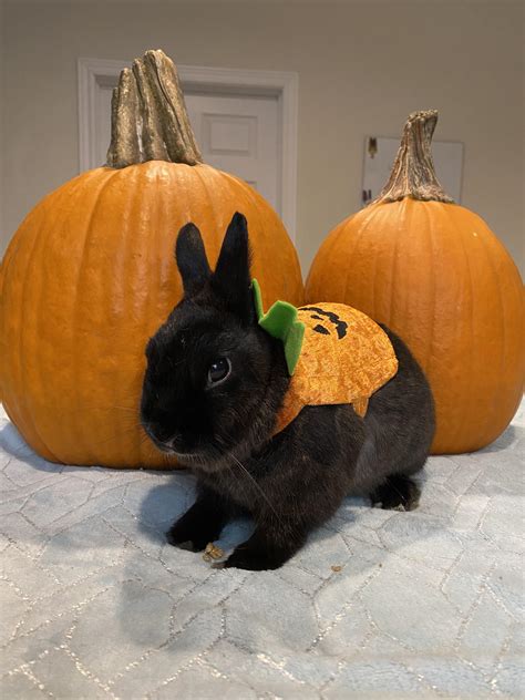 Happy Halloween 🎃👻 Rblender