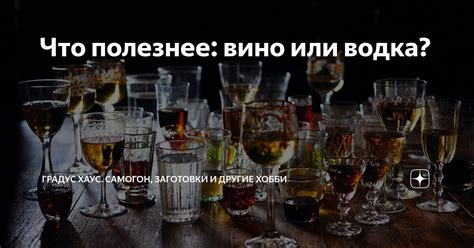 Что полезнее: вино или водка? | Градус Хаус. Самогон, заготовки и ...