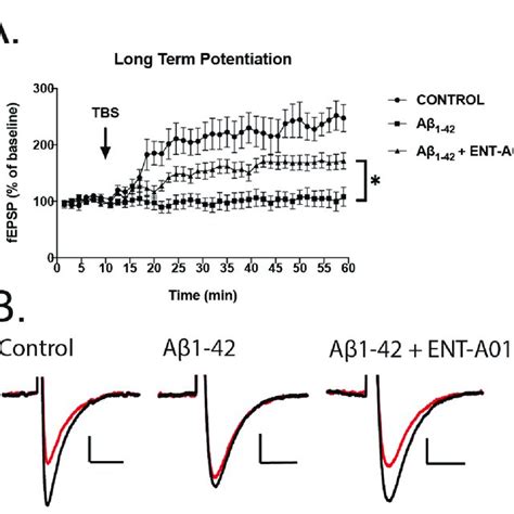 LTP in hippocampal brain slices treated with oligomeric Aβ 5 µM in