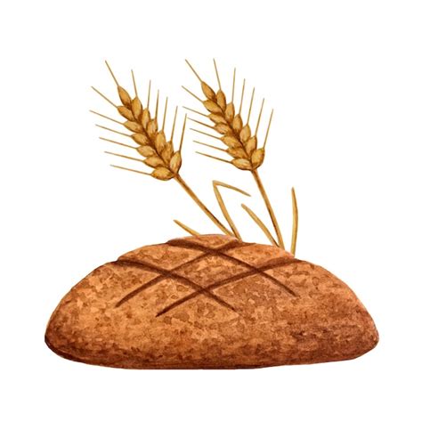 Premium Vector Watercolor Illustration Of Bread Hand Drawing Icons