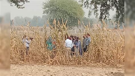 हाथरस कांड फोरेंसिक टीम के साथ तीसरी बार घटनास्थल पहुंची Cbi टीम