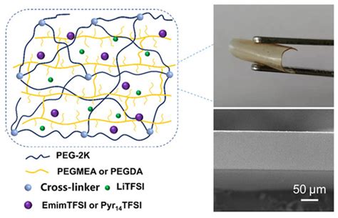 Polymers Free Full Text Double Network Polymer Electrolytes With Ionic Liquids For Lithium