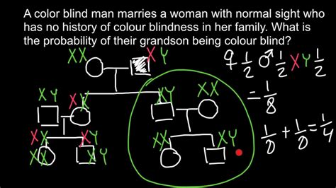 How To Solve Probability Problems In Genetics 3 Youtube