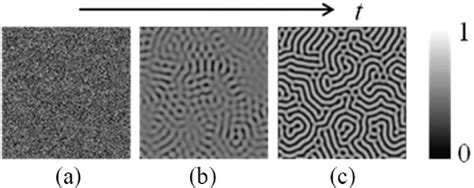 Figure 1 From Implicit Visual Learning Semantic Scholar