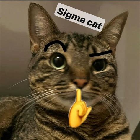 Sigma Cat Cats With Text Funny Cat With Funny Meme Cat With Silly Eyes