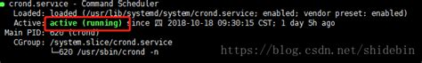 写一个定时数据备份的shell脚本定时备份导出的shell脚本怎么写 Csdn博客
