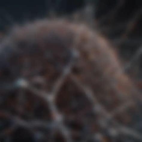 Exploring Shortest Path Algorithms In Graphs