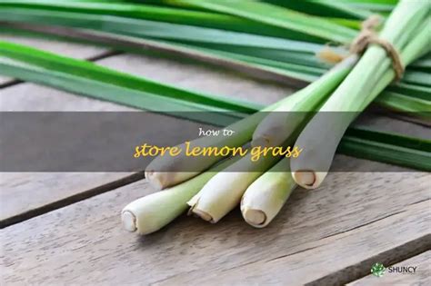 The Perfect Guide To Storing Lemon Grass Tips And Tricks For Keeping