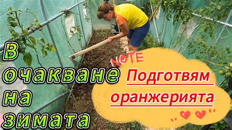Есенно засаждане в оранжерията Youtube