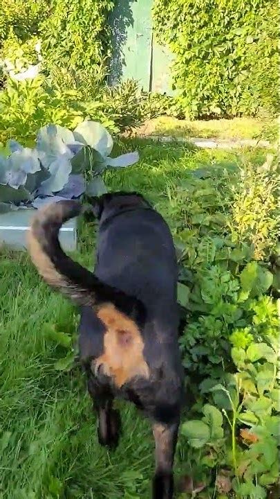 Телефон на тумбочке Youtube