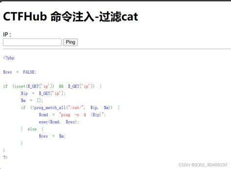 ctfhub—rce 通关笔记 ctfhub rec csdn博客