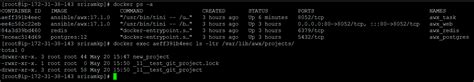 Ansible How To Add Manual Project In Awx Docker Container Stack