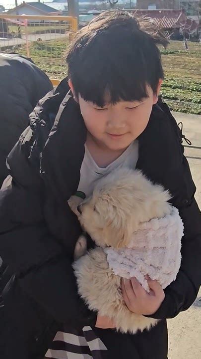 몽실이새끼입양하는날몽글이우리집막내가 데리고온더막둥이 Youtube