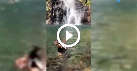Vídeo Flagra Médica Urrando Ao Ser Picada Por Jararaca Em Cachoeira