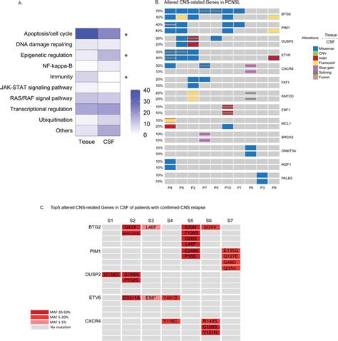 Altered Cns‐related Genes In Csf A Pathway Analysis Of Genes