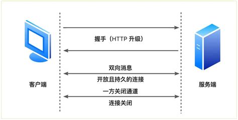 读序