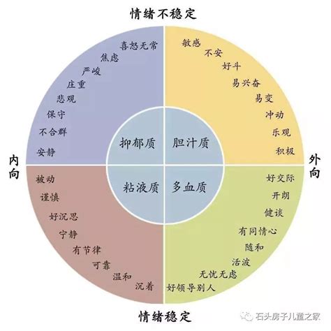 儿童气质类型浸入式体验与解析 乐山工作坊 华德福