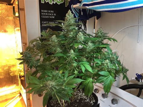 10000 Best Om Nom Nom Nom Images On Pholder Astronomy Aww And Boku No Meta Academia