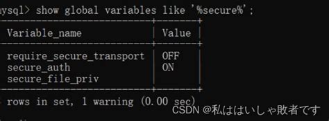 SQL注入渗透与攻防四之文件读写 极客之音