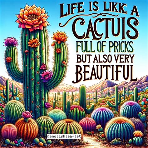 140 One Liner Cactus Puns For Teachers And Instagram Englishleaflet