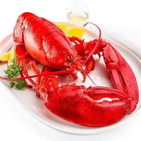 12 Pack 1 40lb 1 60lb Each Firm Soft Shell Live Maine Lobster