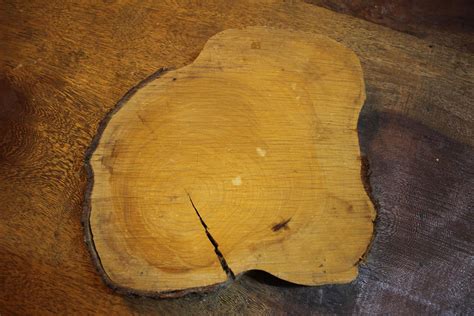 This Is How To Remove Super Glue From Wood In Steps Homify