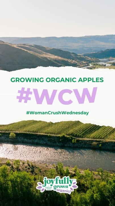 Chelan Fresh On Linkedin Women In Ag Growing Organic Apples