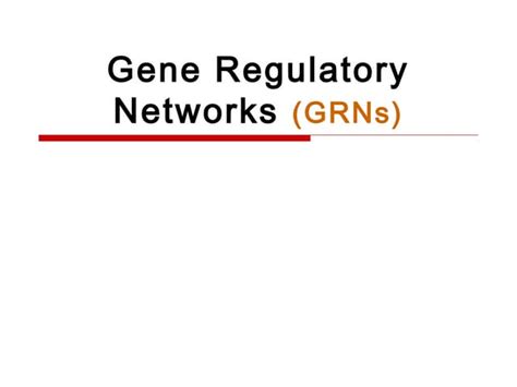 Gene Regulatory Networks Ppt