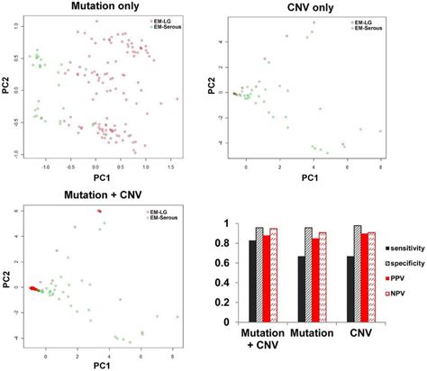 Classification Modeling Using Mutation And Binary Copy Number