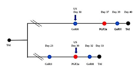 Ovsynch Based Protocols In Reproductive Management And Infertility Treatment In Dairy Cows