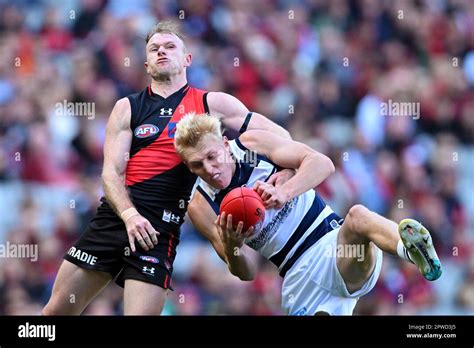 Mitch Knevitt of Geelong (right) marks the footy during the AFL Round 7 ...
