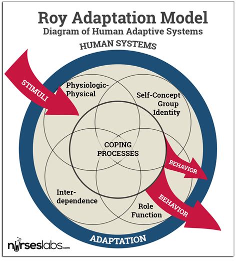 roy s adaptation model diagram roy adaptation model theory a