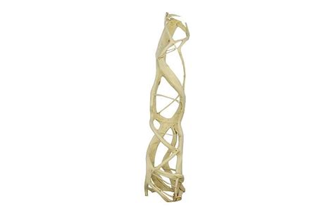 Entwined Root Column Bleached