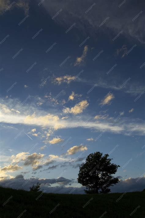 Premium Photo Natuer