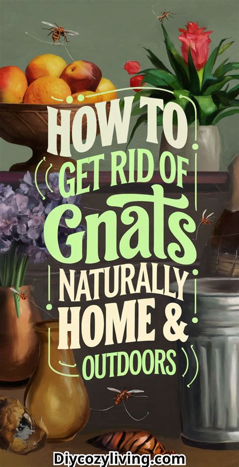 Green Living How To Rid Your Home Of Gnats Without Chemicals How To