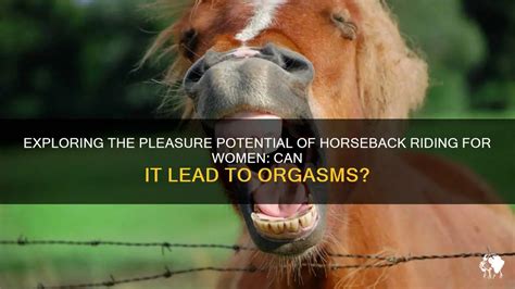 Exploring The Pleasure Potential Of Horseback Riding For Women Can It