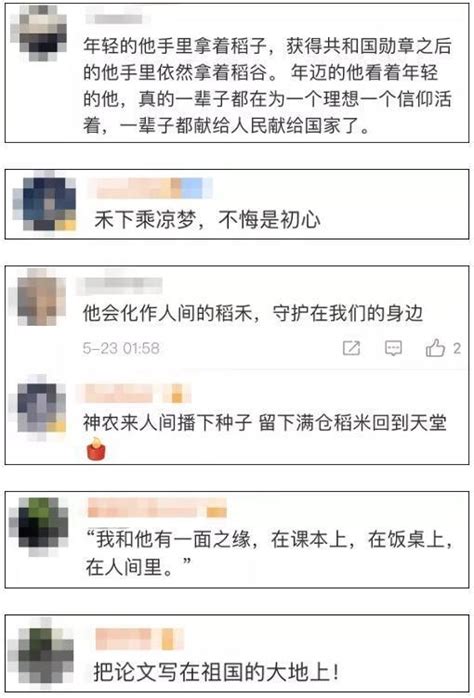一幅作品缅怀袁隆平的两个梦想四川在线