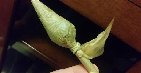Tulip Joint Album On Imgur