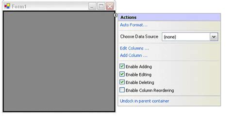 Visual Basic 2005 Express Novo Datagrid Com Vídeodemo