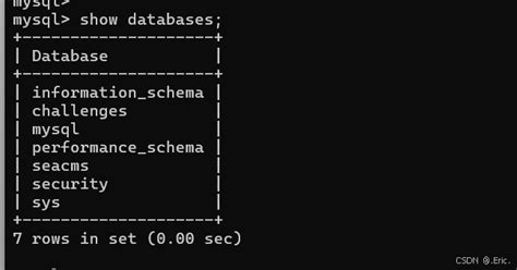 Sql注入(boolean盲注时间盲注) Csdn博客 Sql注入(boolean盲注时间盲注) Csdn博客